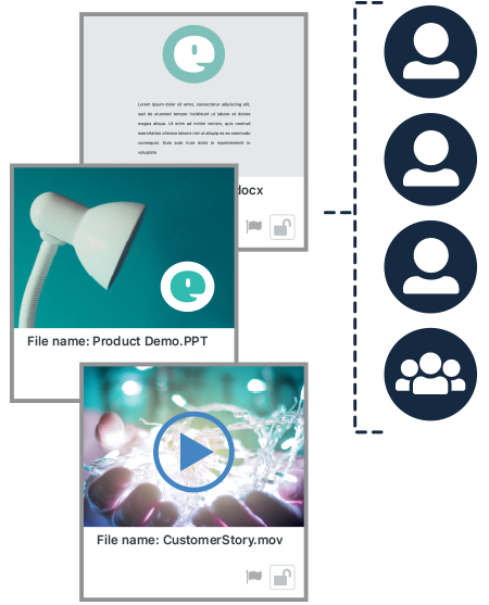 Digital Asset Management Software | Extensis Portfolio